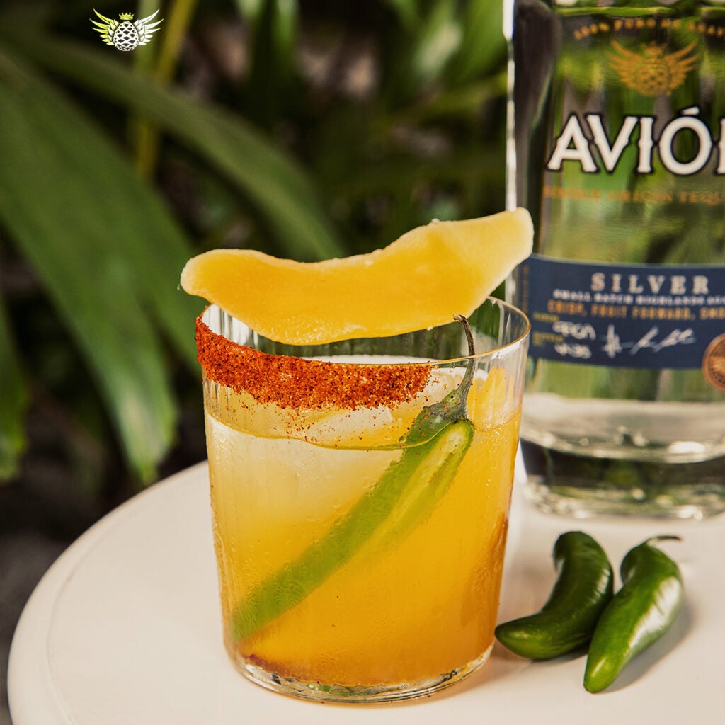 Avión Silver Archives – Avión